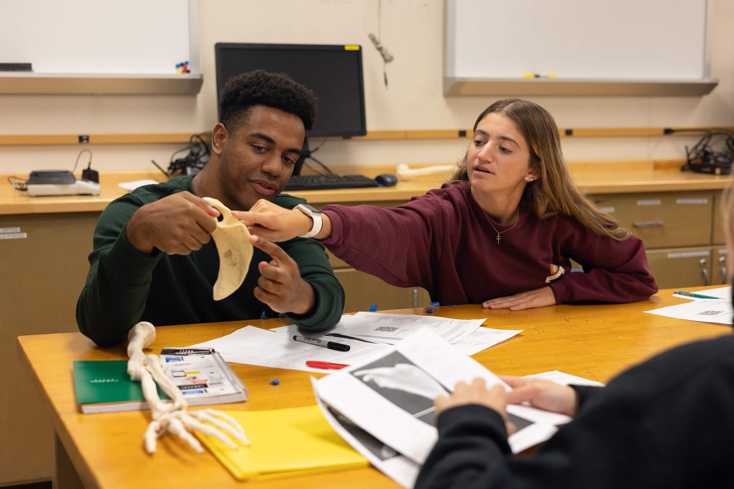 Biology B.A. - Concordia University, St. Paul