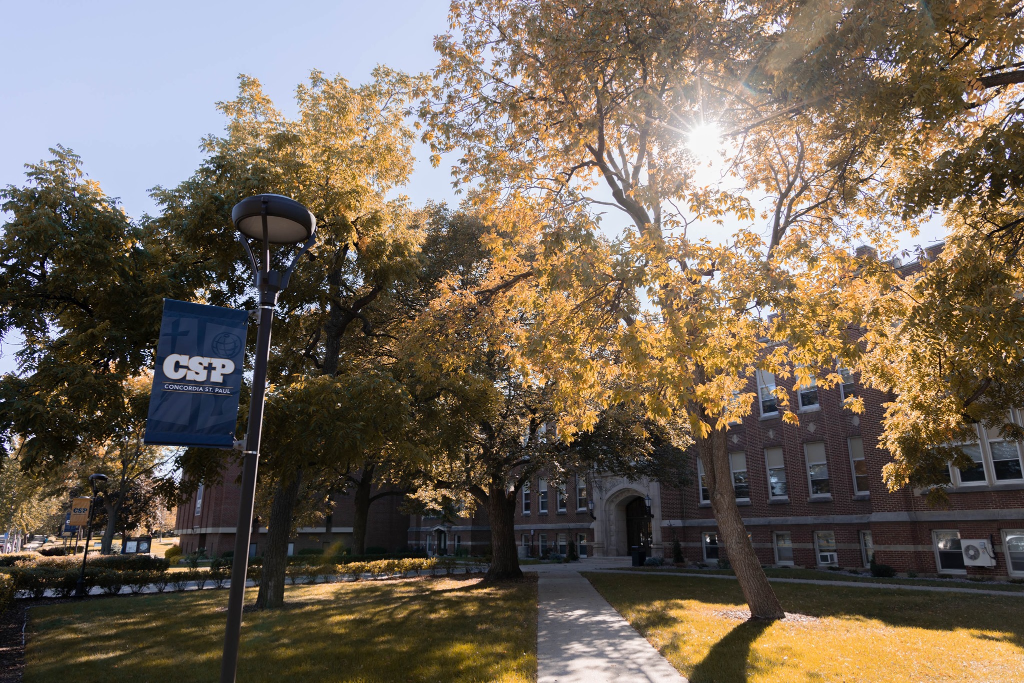 CSP Sets 2nd Highest Enrollment Record - Concordia University, St. Paul