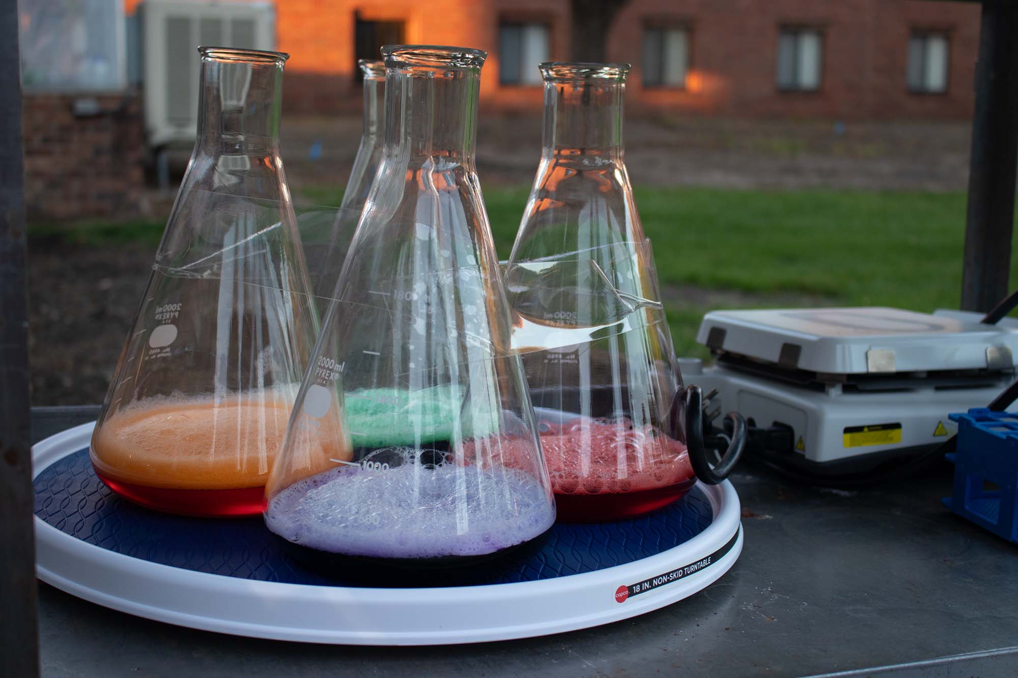 Quality Science Minor - Concordia University, St. Paul