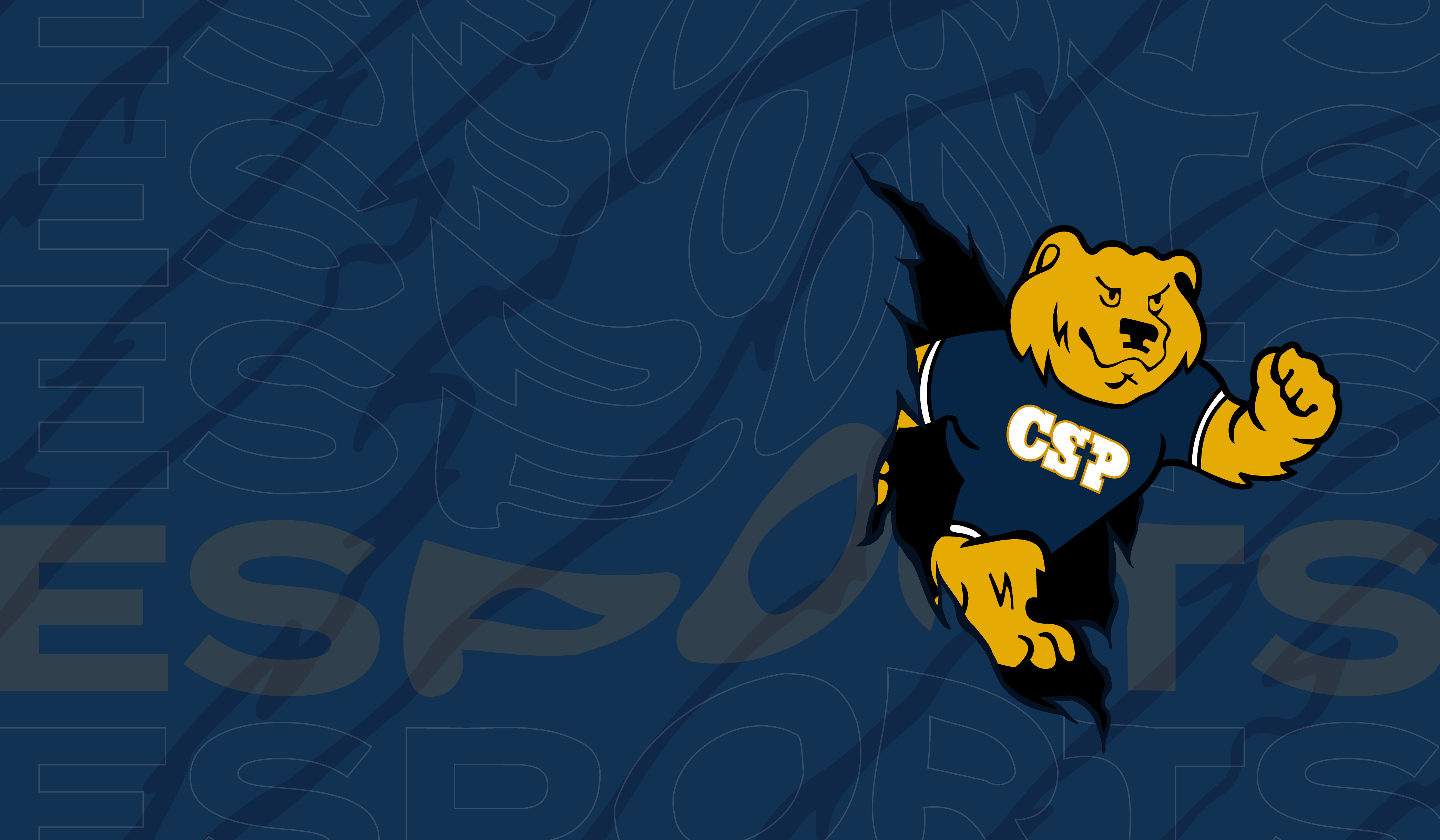 Esports - Concordia University, St. Paul