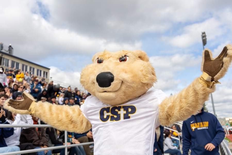 Making the Most of Your College Experience - Concordia University, St. Paul