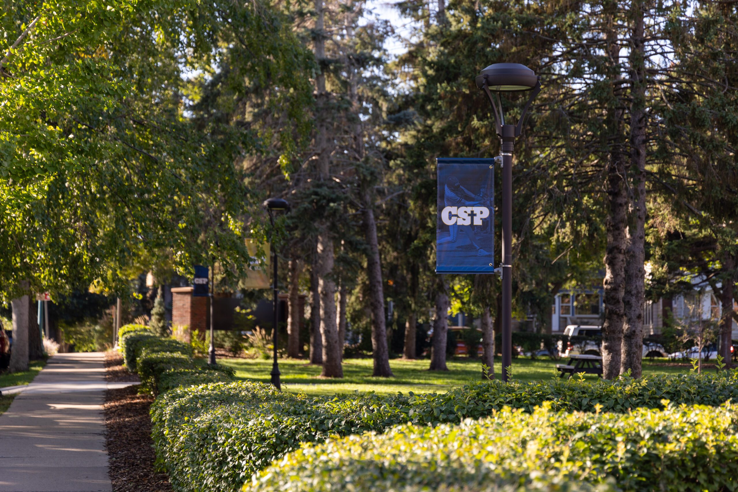 CSP & Rize Partnership - Concordia University, St. Paul