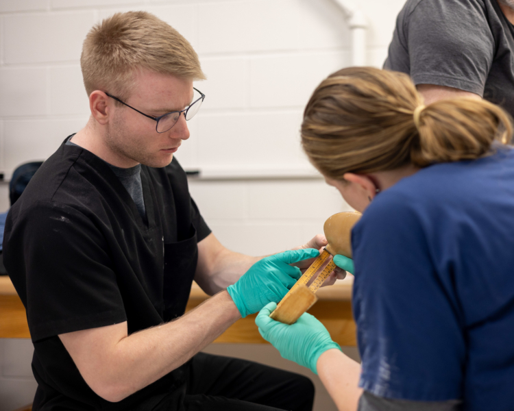 Orthotics and Prosthetics - Concordia University, St. Paul