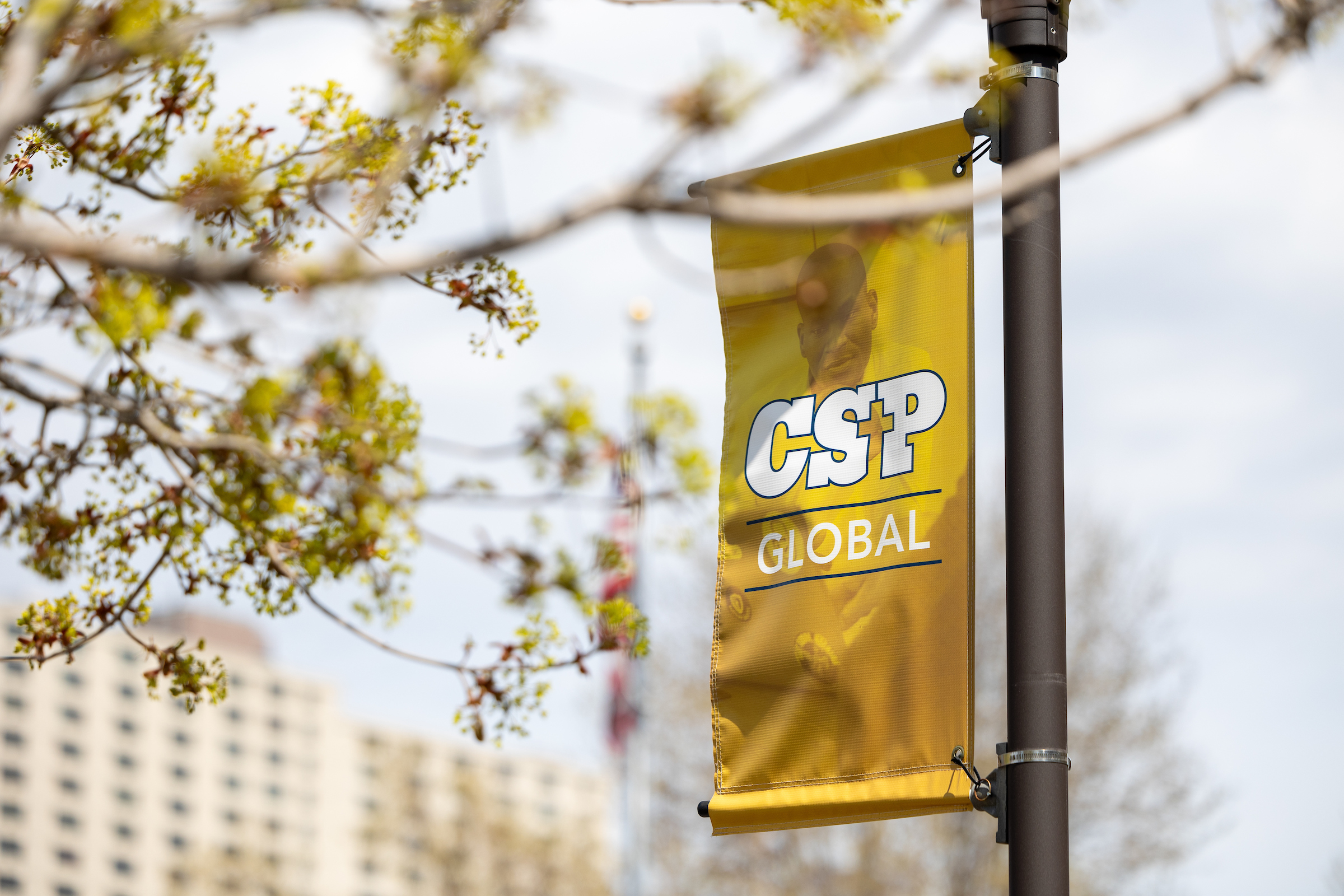 English Language Proficiency - Concordia University, St. Paul