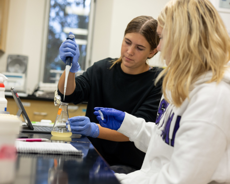 Biology B.A. - Concordia University, St. Paul
